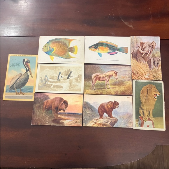 Office | Lot Of 8 Vintage Animal Postcards With Twosided Print Of A ...
